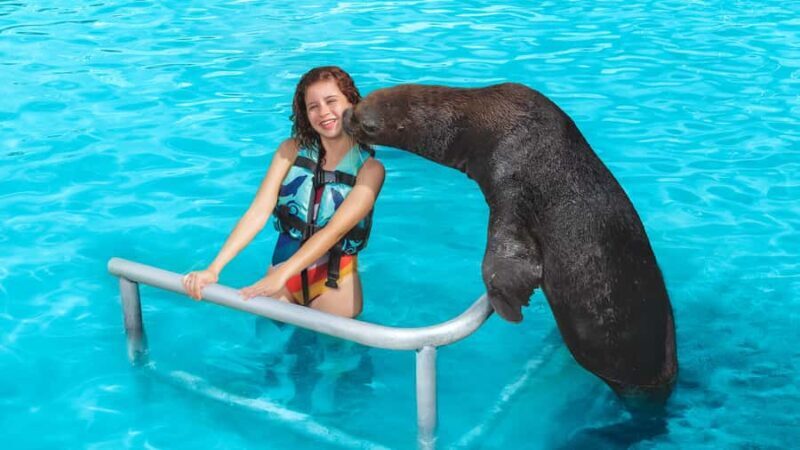 ISLA MUJERES: Dolphin Royal Connection & buffet from Cancun - FAQ