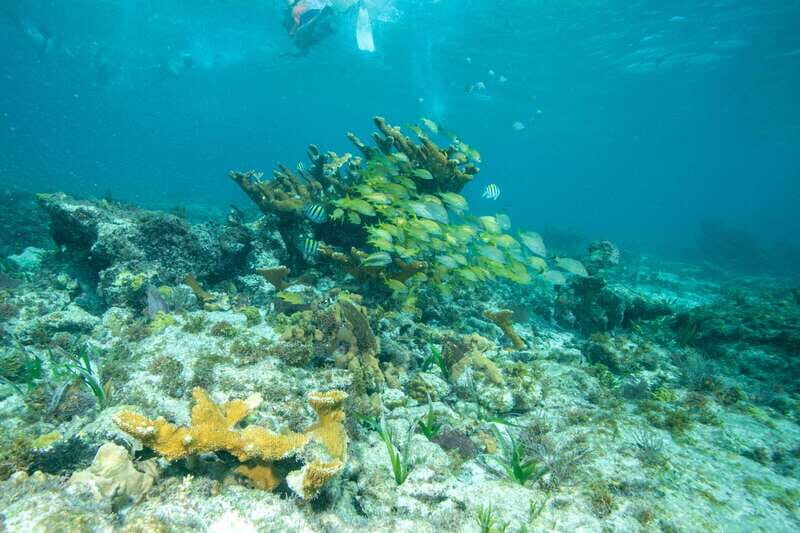 Isla Mujeres: Full Day Private Catamaran with Snorkeling - What’s Included and How it Adds Value