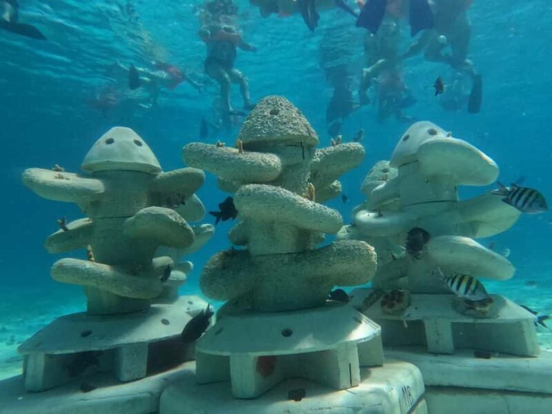 Isla Mujeres: Full Day Private Catamaran with Snorkeling - What Travelers Are Saying