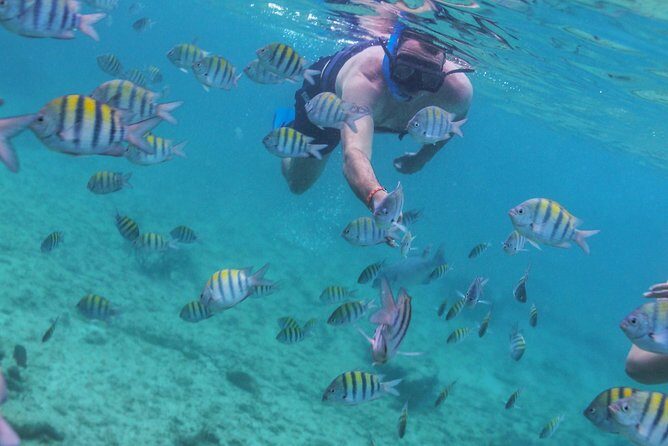 Isla Mujeres Luxury Sailing: Adults Only or Family Friendly - Who Is This Tour Best For?