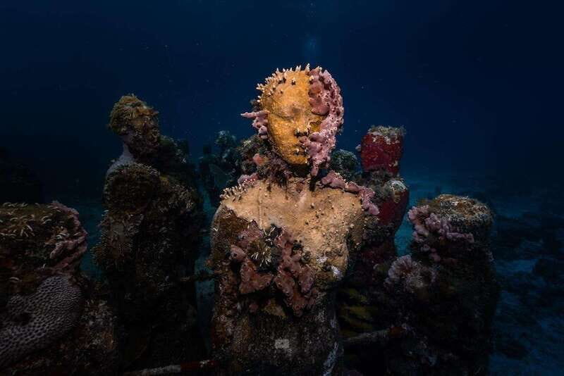 Isla Mujeres: MUSA and the Manchones Reef: 2 Tank Dive Tour - The Itinerary: What to Expect