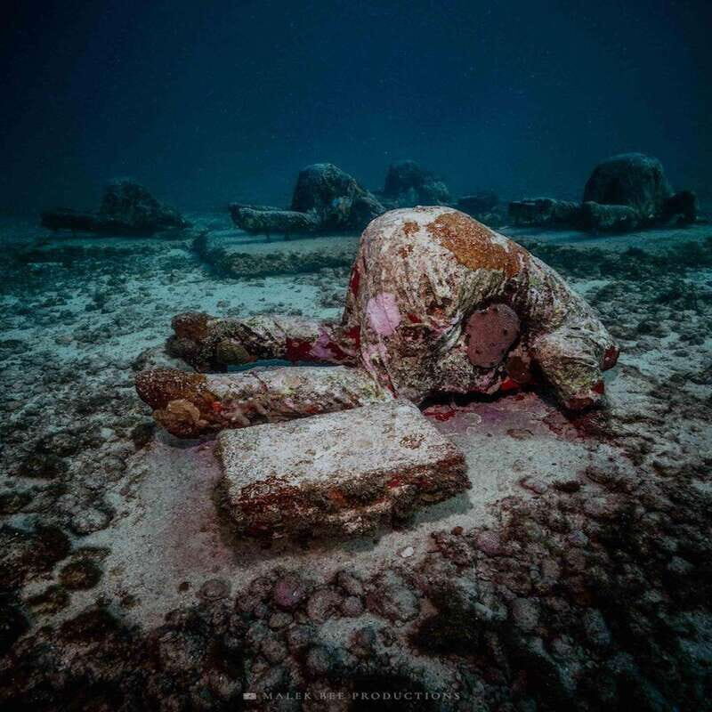 Isla Mujeres: MUSA and the Manchones Reef: 2 Tank Dive Tour - Authentic Experiences and Feedback