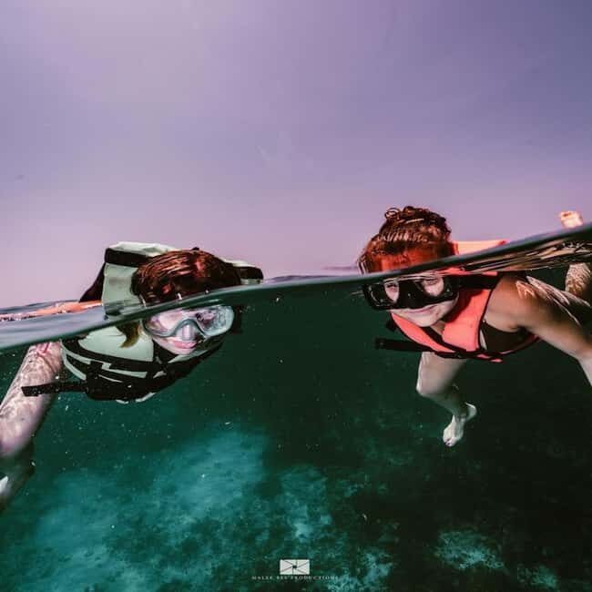 Isla Mujeres - MUSA and the Manchones Reef - Snorkel - What the Reviews Tell Us