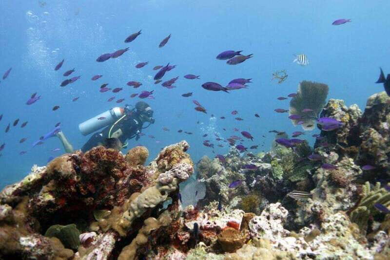 Isla Mujeres: PADI Open Water Diver Course - The Location and What Makes It Special