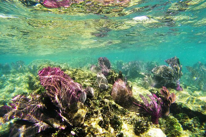 Isla Mujeres Private Dream Getaway - A Detailed Look at the Isla Mujeres Private Dream Getaway