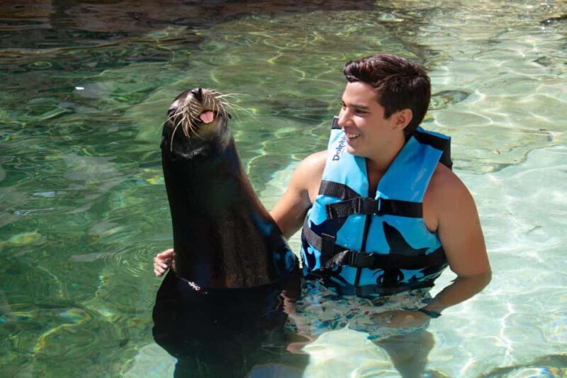 Isla Mujeres: Sea Lion & Manatee Interaction with Buffet - An Honest Look at the Experience