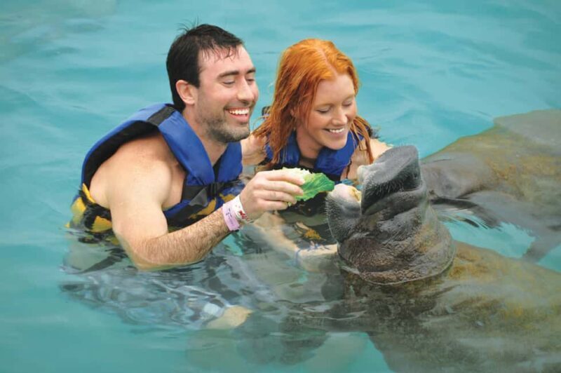Isla Mujeres: Sea Lion & Manatee Interaction with Buffet - What the Tour Means for Travelers