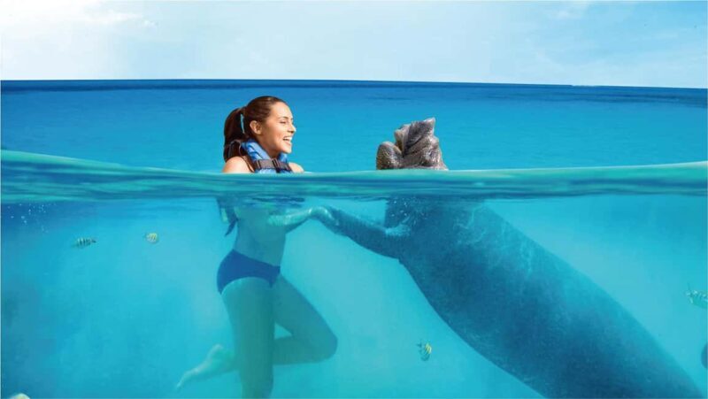Isla Mujeres: Sea Lion & Manatee Interaction with Buffet - Who Will Love This Tour?
