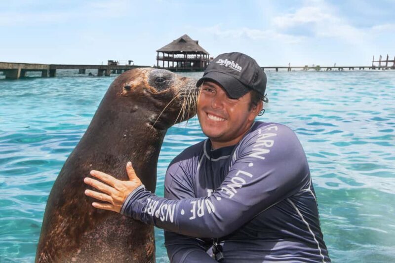Isla Mujeres: Sea Lion & Manatee Interaction with Buffet - Final Thoughts