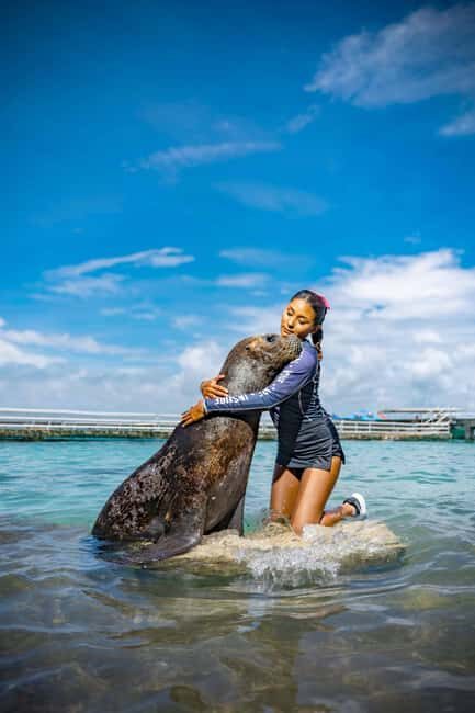Isla Mujeres: Sea Lion & Manatee Interaction with Buffet - FAQs