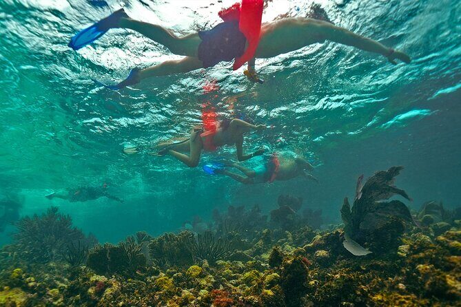 Isla Mujeres, Snorkel, Lunch & Pick Up from Cancun to P.Morelos - The Experience: A Deep Dive into the Tour Day