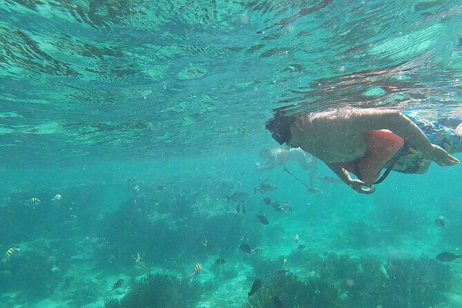 Isla Mujeres Snorkeling Adventure at the Underwater Museum - Practical Details and Tips