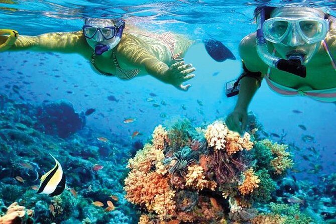 Isla Mujeres tour in a Catamaran with snorkel, open bar, lunch - Cost Breakdown & What’s Included