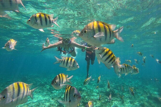 Isla Mujeres Yacht Tour Cancun - Who Will Love This Tour?