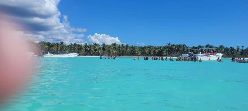 Isla Saona Day Trip From Santo Domingo with Lunch - How the Tour Is Organized