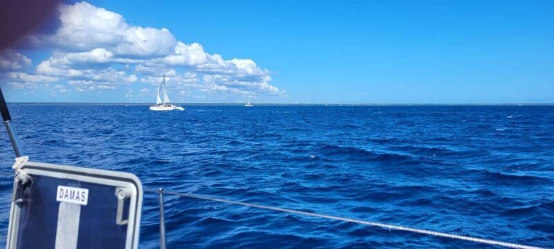 Isla Saona Day Trip From Santo Domingo with Lunch - Arriving at Isla Saona