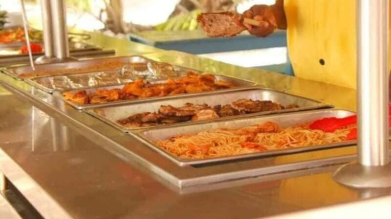 isla saona día completo - An In-Depth Look at the Isla Saona Día Completo Tour