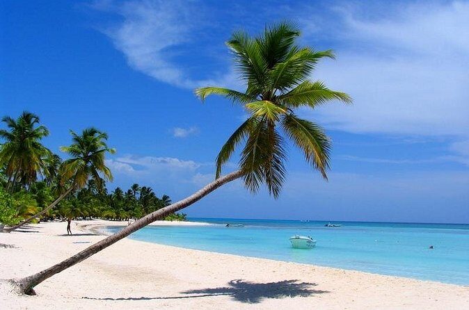 Isla Saona El Paraiso del Caribe - Additional Info and Practical Tips