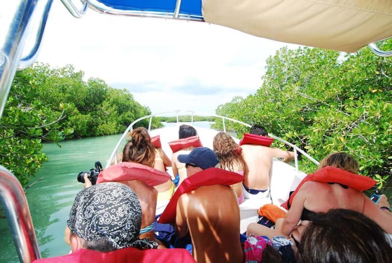 Isla Saona Wildlife Safari: Your All-Inclusive Escape - An Authentic Day on Isla Saona