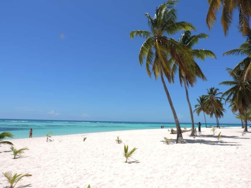 Isla Saona Wildlife Safari: Your All-Inclusive Escape - Who Will Love This Tour?