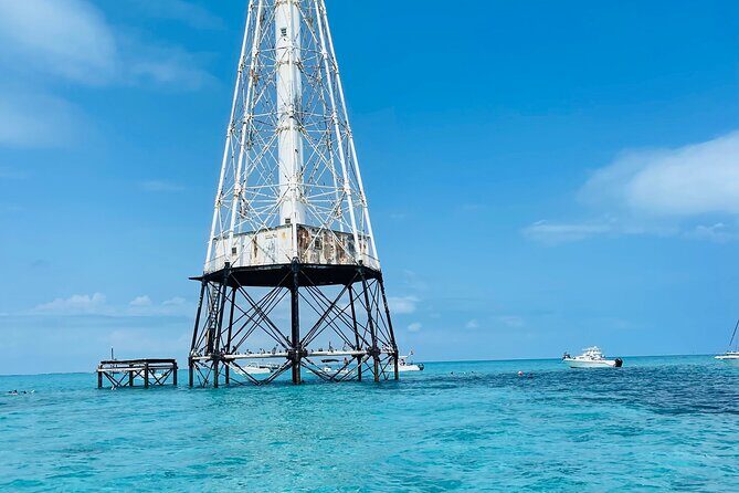 Islamorada Snorkel / Sandbar / Sunset / Fishing Charters & Tours - Snorkeling at Alligator Reef