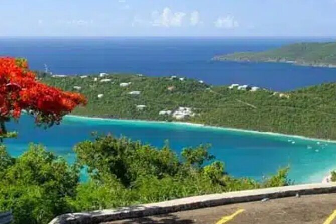 Island Buggy Excursions - Pricing and Value