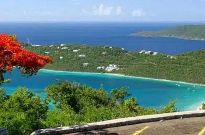 Island Buggy Excursions - The Sum Up