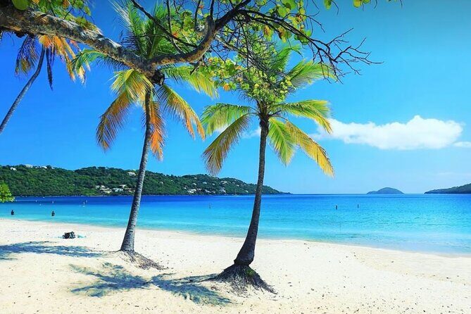 Island Buggy Excursions - FAQ