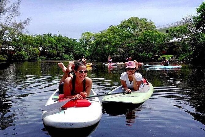 Island City ECO Paddle and Lesson to 9.3 Acre Nature Preserve - An In-Depth Look at the Island City ECO Paddle Tour