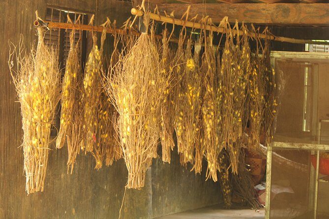 Island Community Life in Phnom Penh - The Sum Up: Who Will Love This Tour?