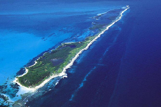 Island Contoy Adventour & Buffete & Isla Mujeres only from Cancun - An In-Depth Look at the Itinerary