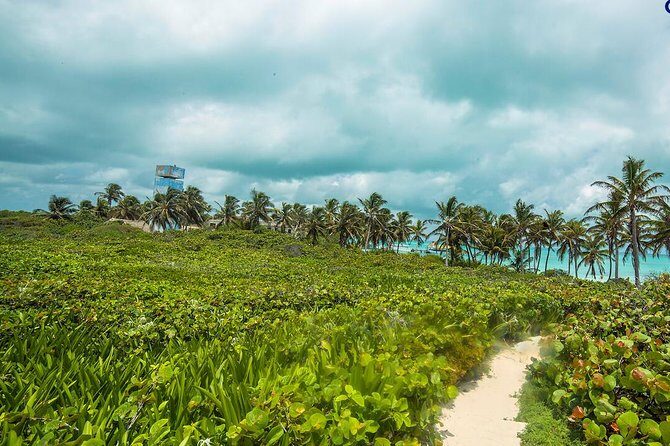 Island Contoy Adventour & Buffete & Isla Mujeres only from Cancun - Who Is This Tour Best For?