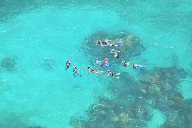 Island Contoy Adventour & Buffete & Isla Mujeres only from Cancun - Final Thoughts