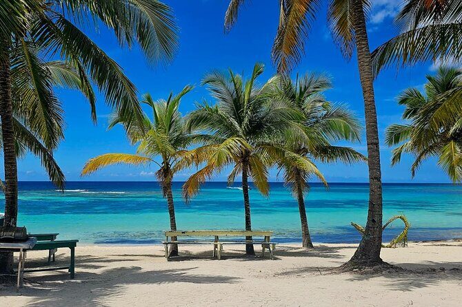 Island DE Saona: EN Small Group Tour on Trimaran Motorise - A Closer Look at the Saona Island Small Group Tour
