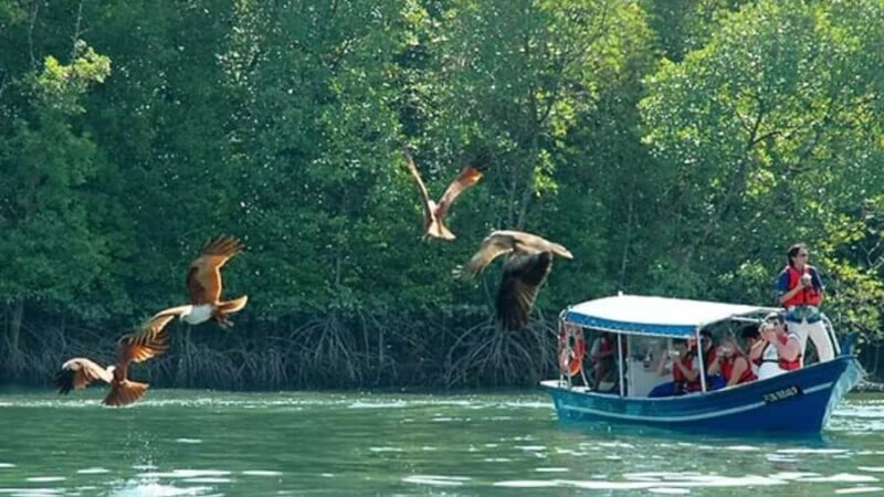 Island Discovery Boat Adventure in Langkawi with Pick Up - Key Points