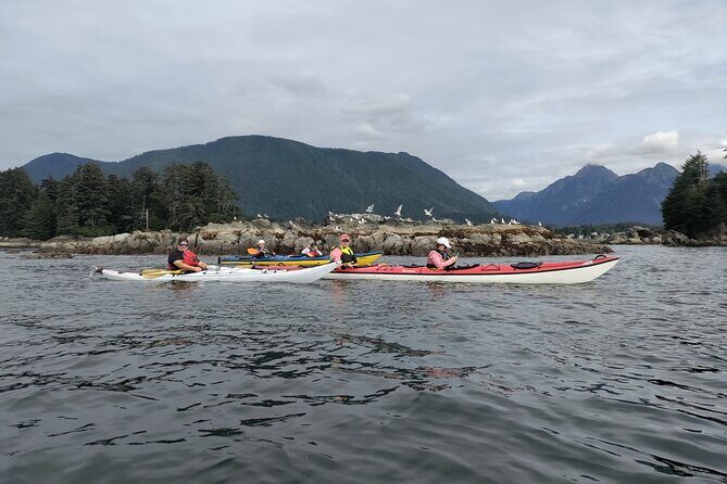 Island Discovery Kayak Paddle in Sitka, Alaska - Key Points