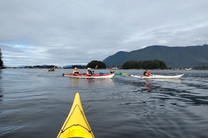 Island Discovery Kayak Paddle in Sitka, Alaska - The Sum Up