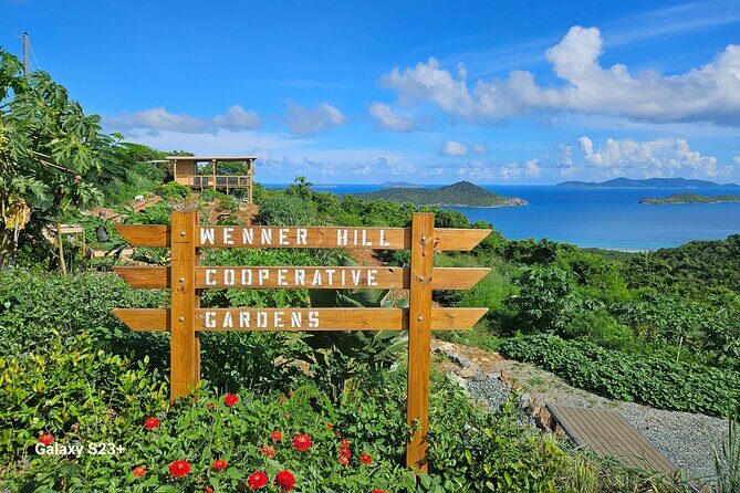 Island Eco Farm Tour with Local Treats and Sapphire Beach Time - Who Would Love This Tour?