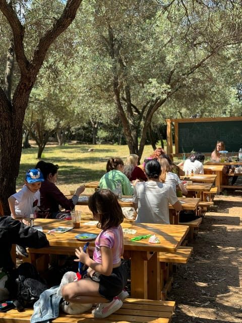 Island Escape: One-of-a-Kind Local Workshop on Lokrum Island - The Bottom Line: Who Should Consider This Tour?