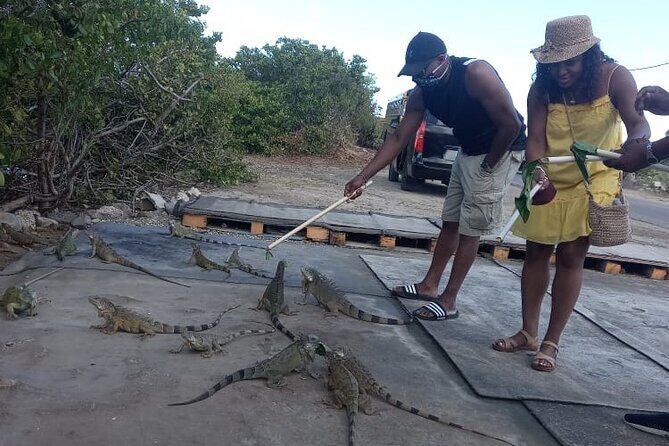 Island Experience Of St Maarten St Martin - FAQ