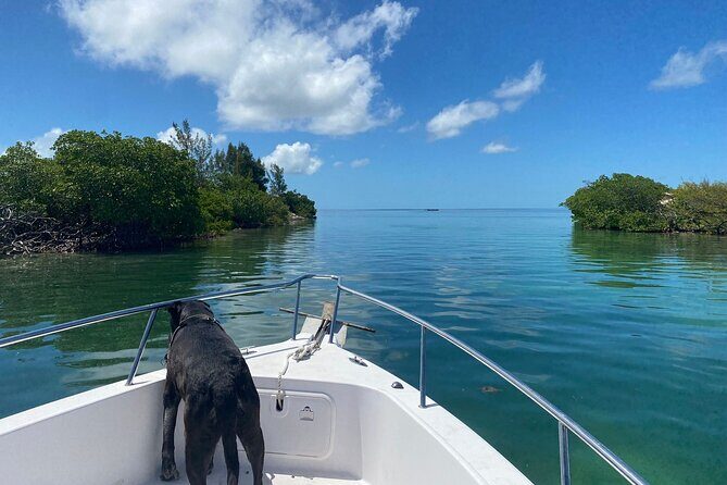 Island Hop Sandbar Adventure - How the Tour Fits into Your Key West Adventure