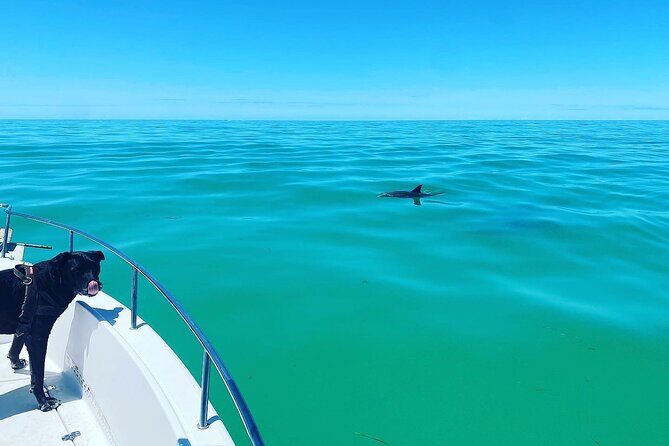Island Hop Sandbar Adventure - FAQ