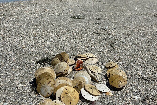 Island Hopping and Snorkeling Trip - Final Thoughts on Value and Experience