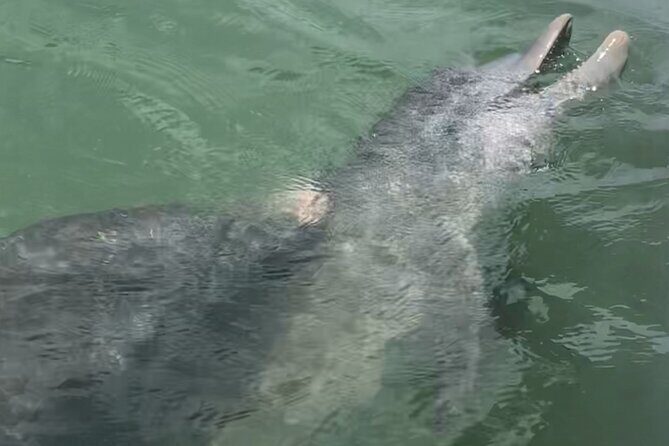 Island Hopping and Snorkeling Trip - FAQ