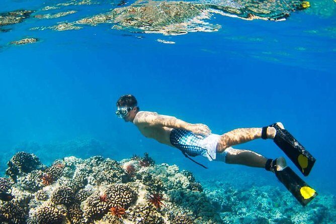 Island Hopping Tour (2 Island) From Kota Kinabalu - Who Should Consider This Tour?