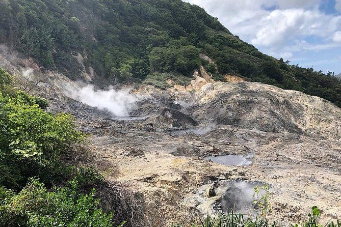 Island Life Tour - The Experience: What You Can Expect