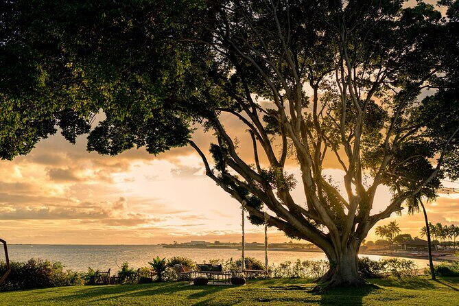 Island of Magic Private Wedding Tour - The Experience in Detail