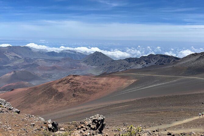Island of Maui Customized Half Day Tour - An In-Depth Look at the Maui Customized Half-Day Tour