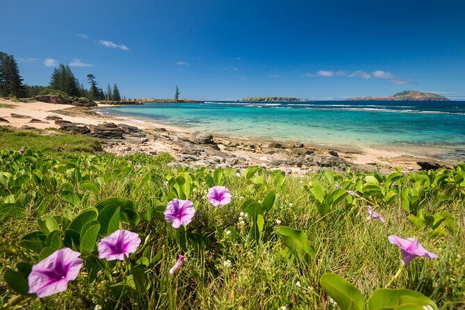 Island Orientation Package incl. Return Airport Transfers & Tour - Final Thoughts: Why This Tour Is Worth Considering
