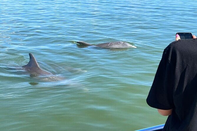 Island Paradise: Dolphin, Shelling, Birding Eco Boat Tour - The Itinerary: Details & Insights